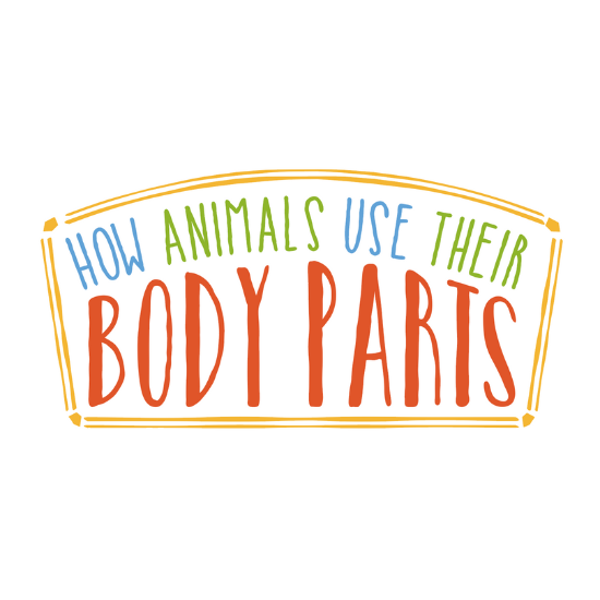 How Animals Use Their Body Parts – Mitchell Lane