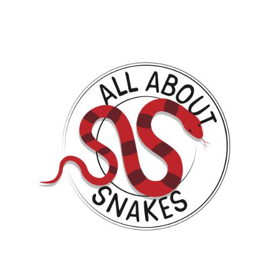 Young kids have always had a fascination with snakes. Kids will learn ...