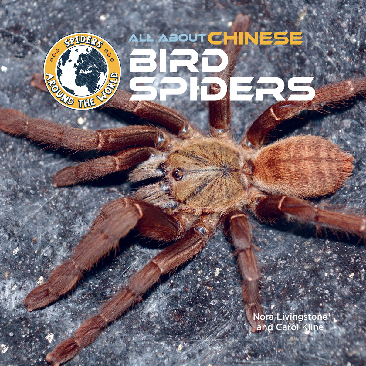 All About Chinese Bird Spiders - Mitchell Lane Publishers