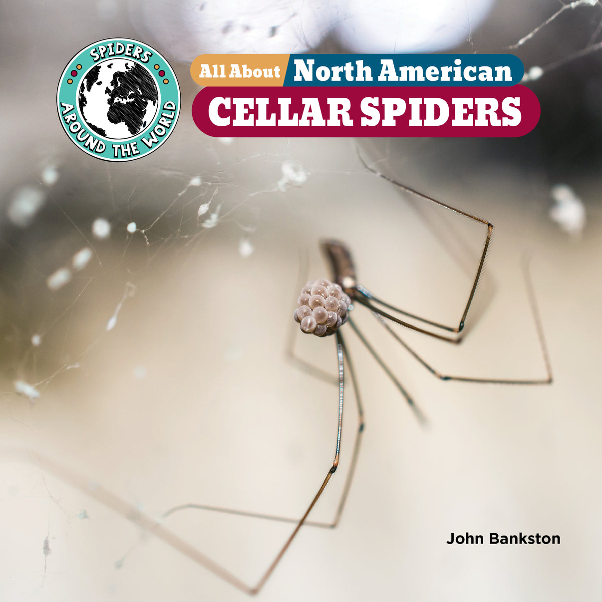 All About North American Cellar Spiders - Mitchell Lane Publishers