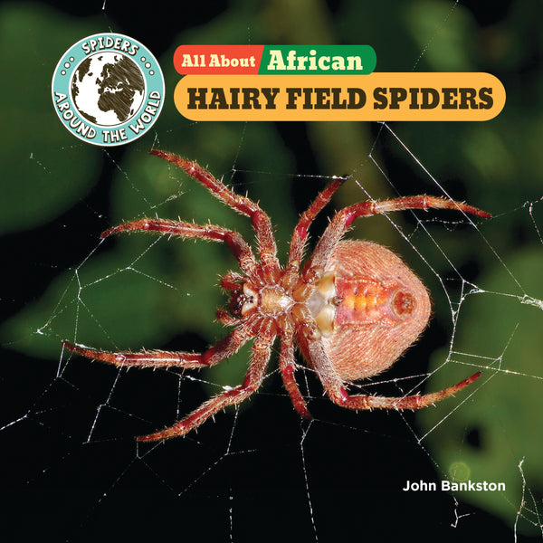 The hairy field spider could star in its own monster movie. Covered in ...